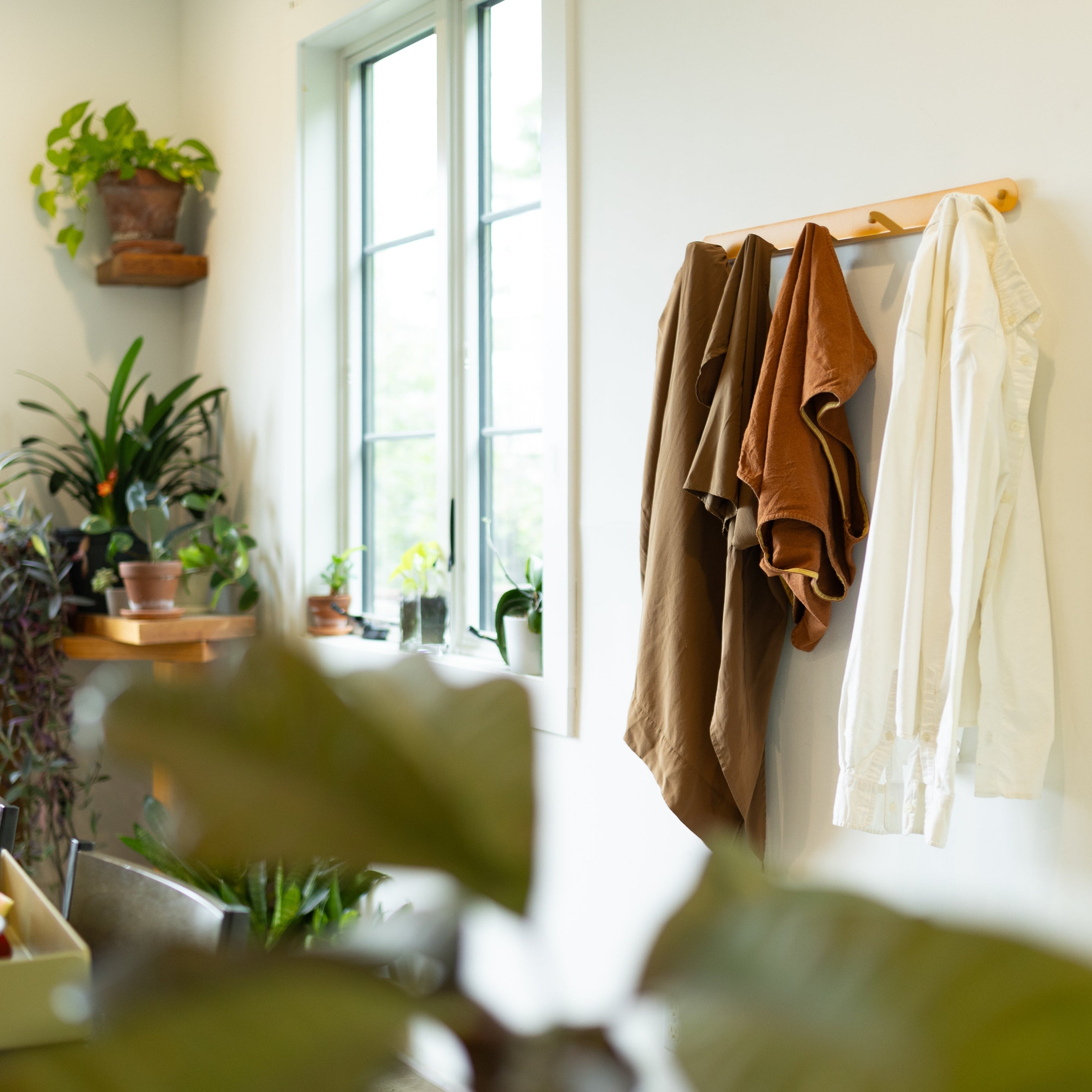 Wall Mounted Multi Hook | Safran Everyday